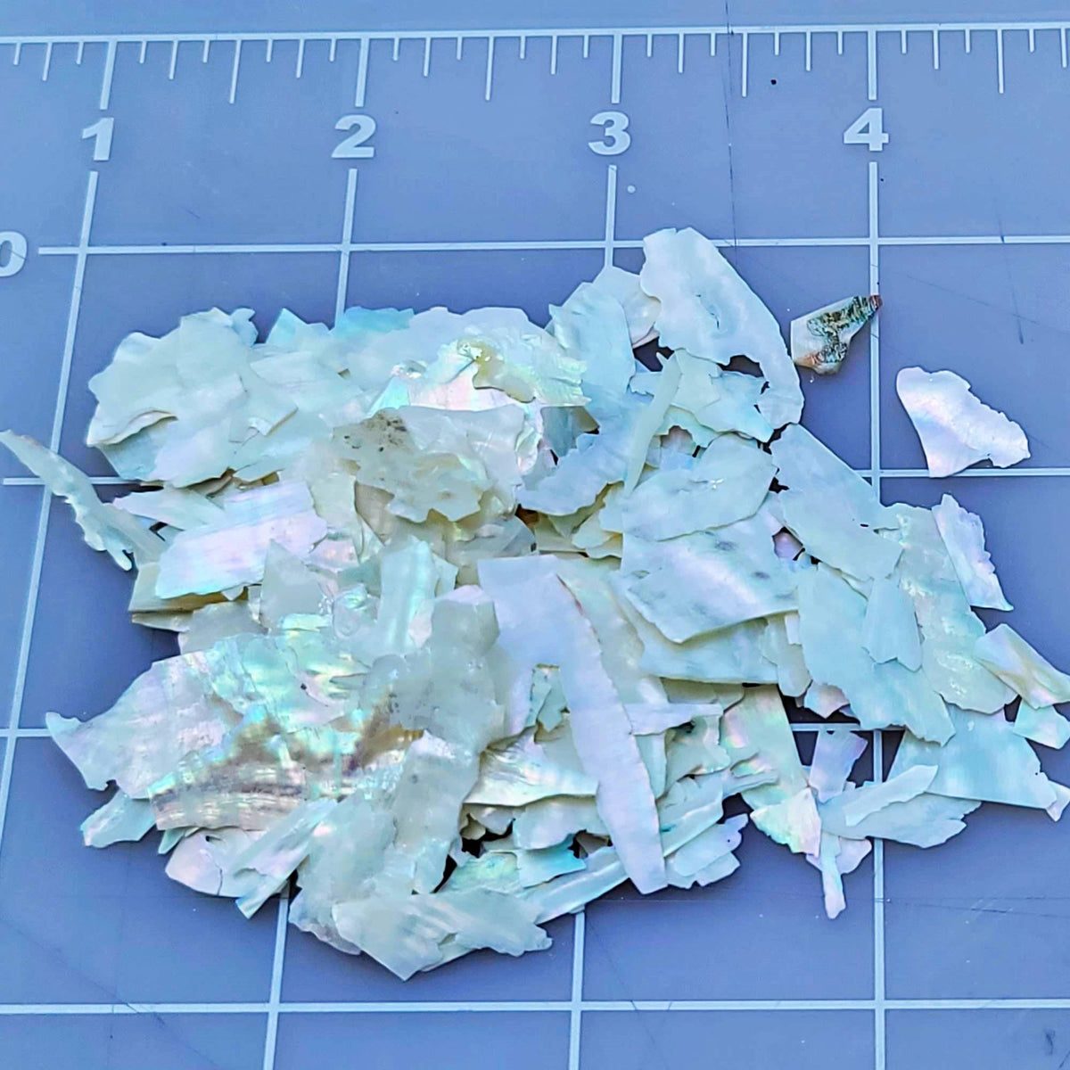 Pearl White Mother of Pearl Crushed Abalone Shell 10g – Opal & Findings